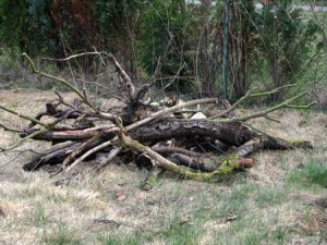 Attraktiver Totholzhaufen und Steine ums Beet › Das wilde Gartenblog
